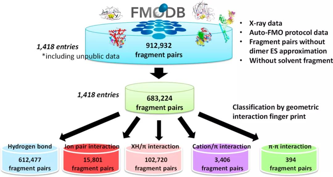 The world's first biological large molecular weight molecular mechanics ...