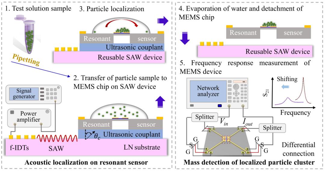 City University of Hong Kong: Research and development of piezoelectric ...