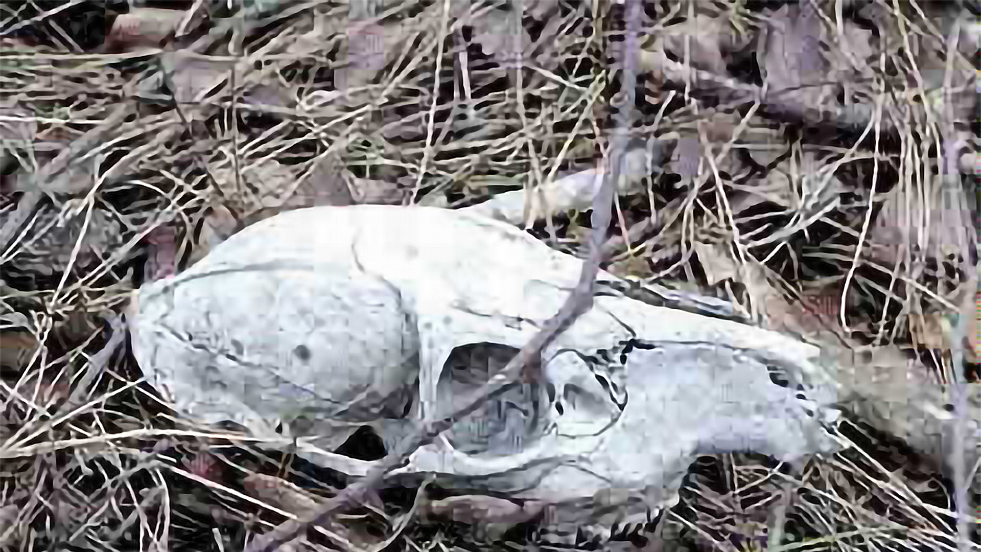 Java Valley Cave, Indonesia: A "cannibalistic" cave, legend has it that ...