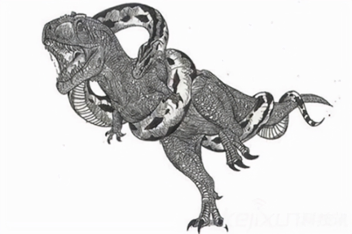 Ten legendary giant snakes: Wanabi snake that swallows dinosaurs is ...