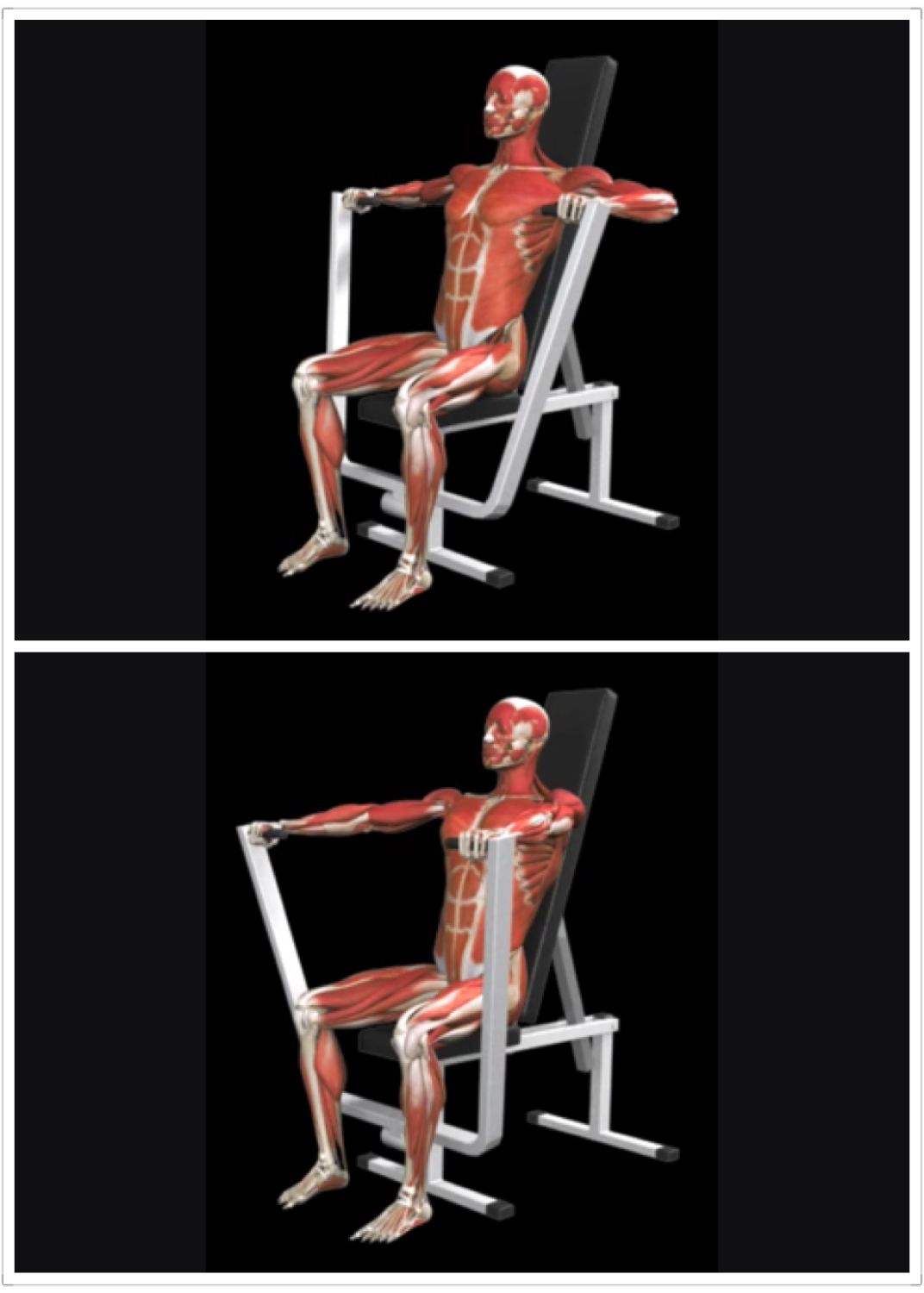 Fitness experience: how to develop the perfect chest muscles?Doing ...