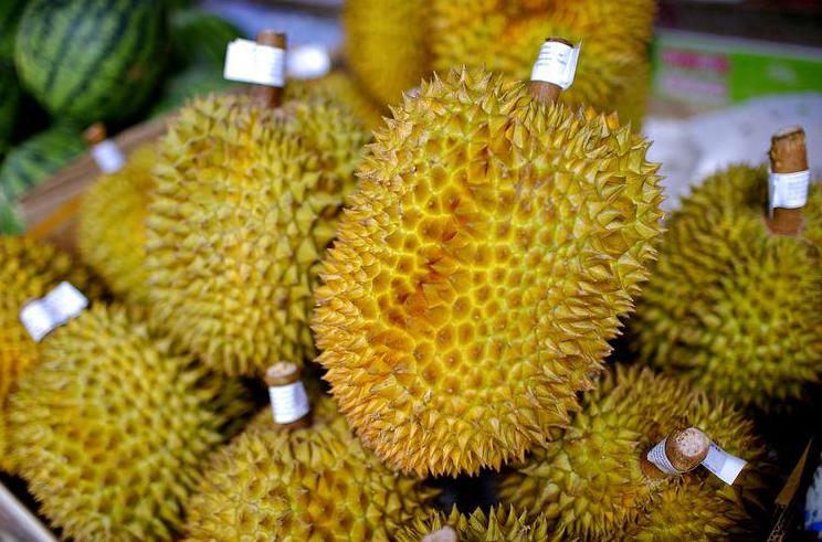 Don't just pick big durians when buying durians!Master 5 skills, pick ...
