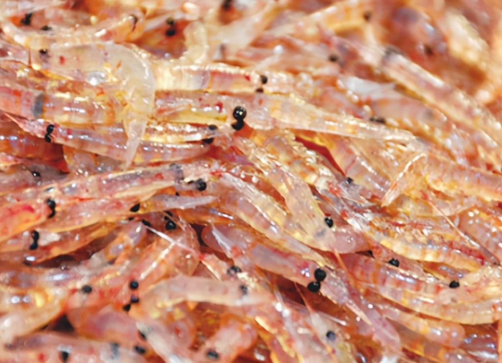 Antarctic krill: 650 million tons of "sea gold mine", China will be the ...