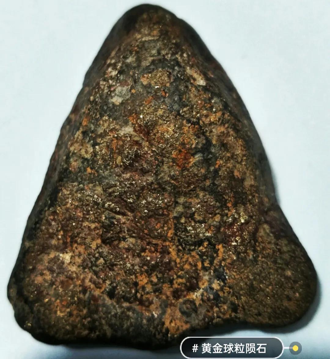 Rare in the world~Golden chondrite directional meteorites to enjoy ...