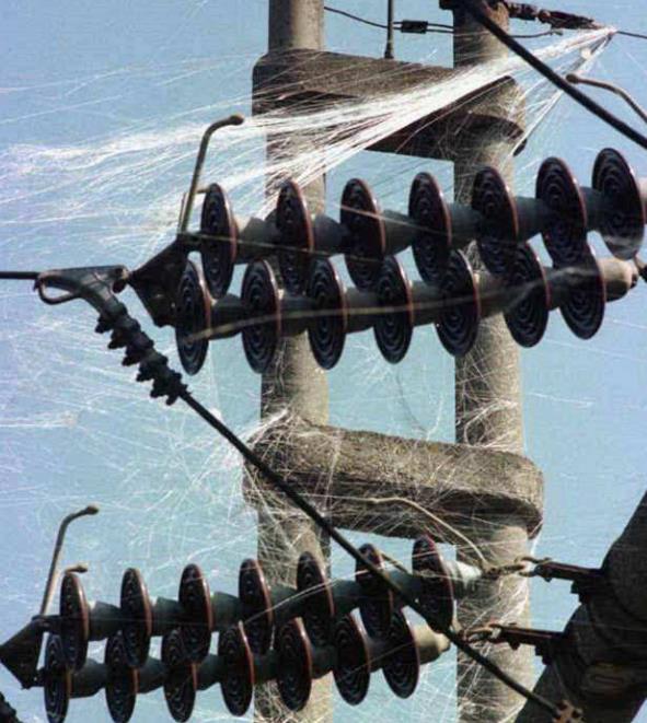 How powerful is the graphite bomb? One can paralyze an entire city, and ...