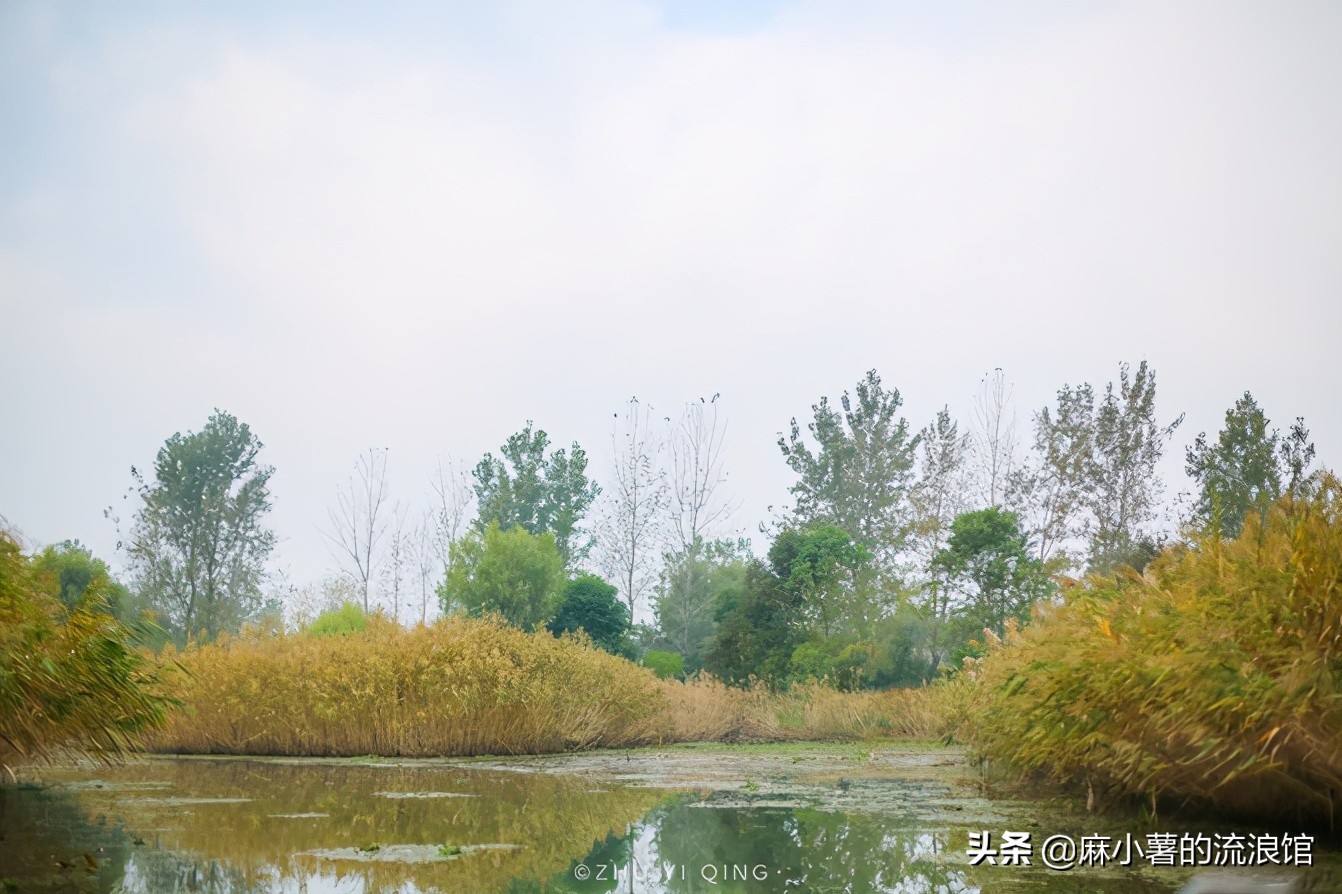 An 800-year-old lake in Yancheng, the first lake in northern Jiangsu ...
