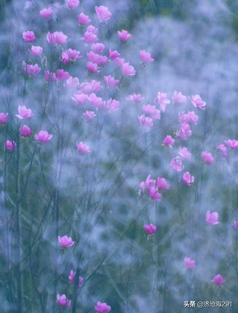 A poem by Ouyang Xiu, delicate yet unrestrained, written out the ...