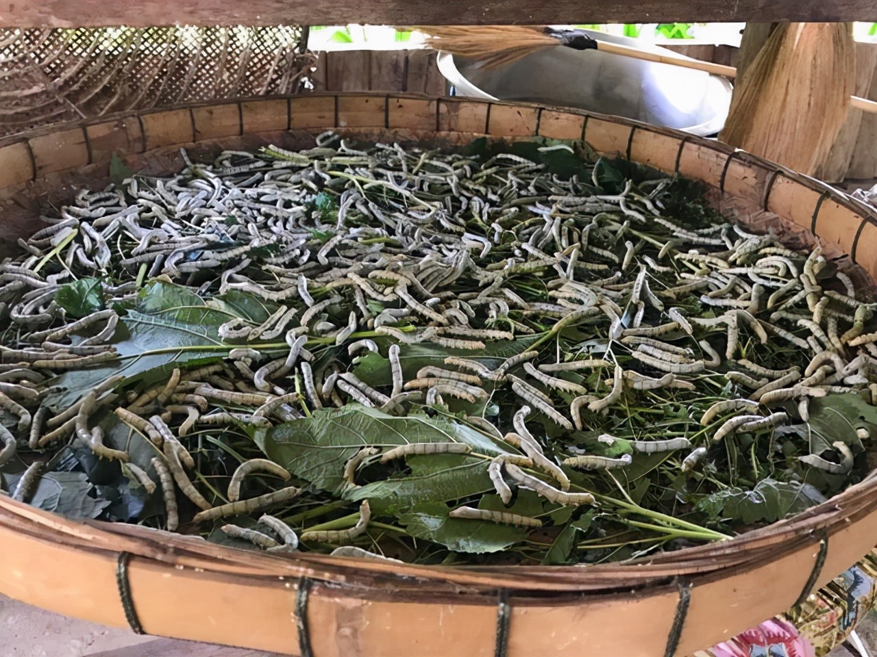 The unpopular ancient poem "Four Animals Yan", the words are bloody and ...