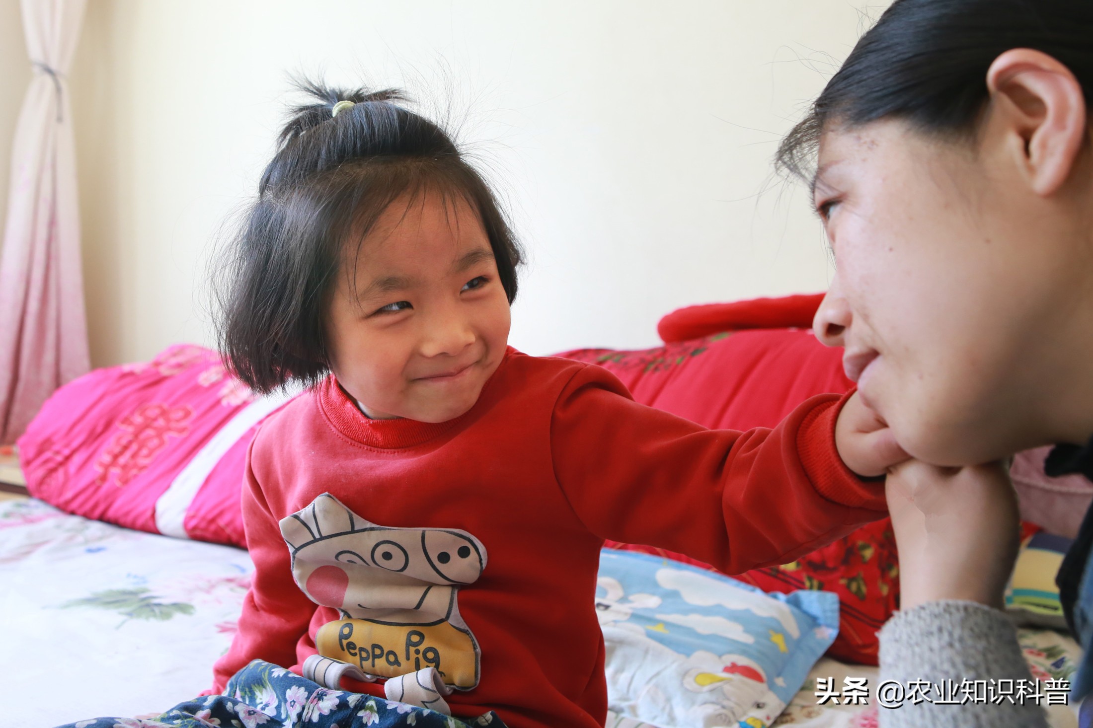 A 4-year-old girl suddenly suffers from cerebral infarction and hemiplegia. The culprit is a ...