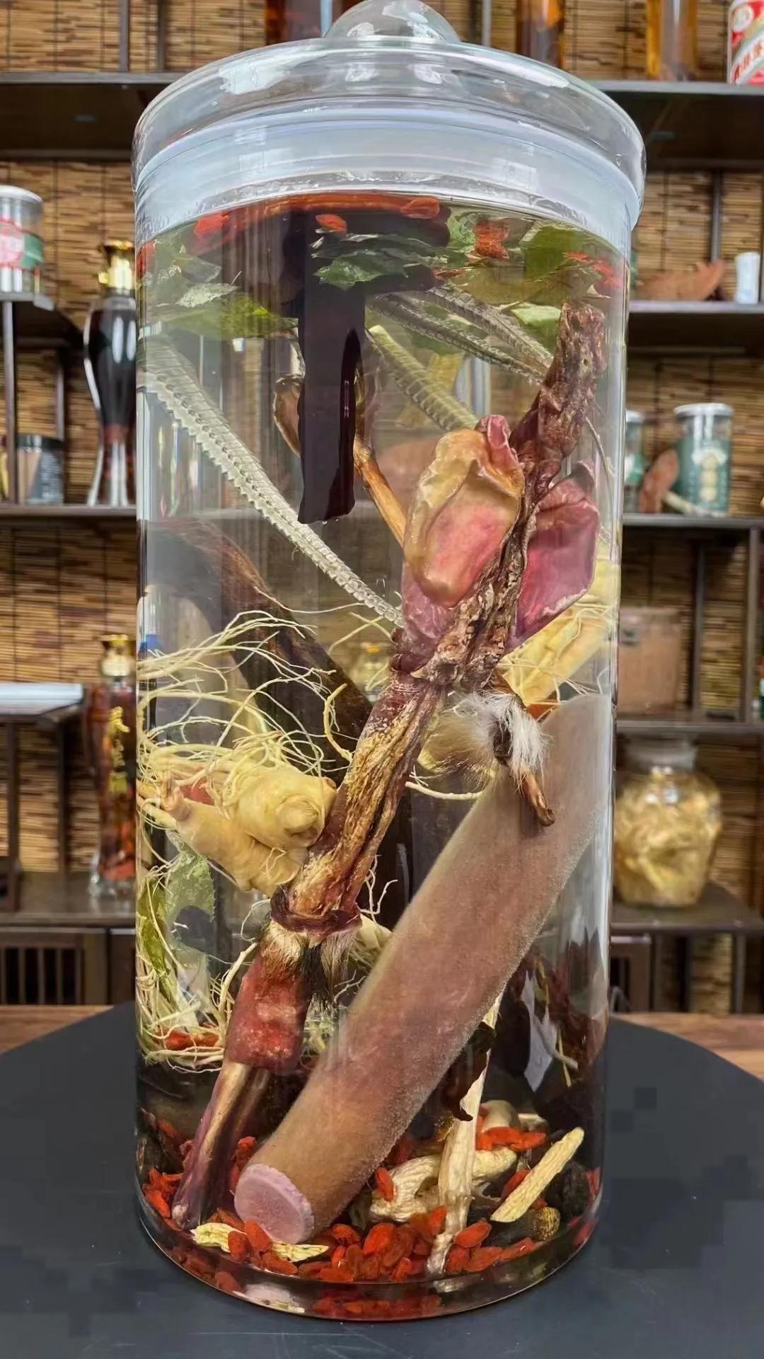 Edible method and production of dried deer whip - iNEWS