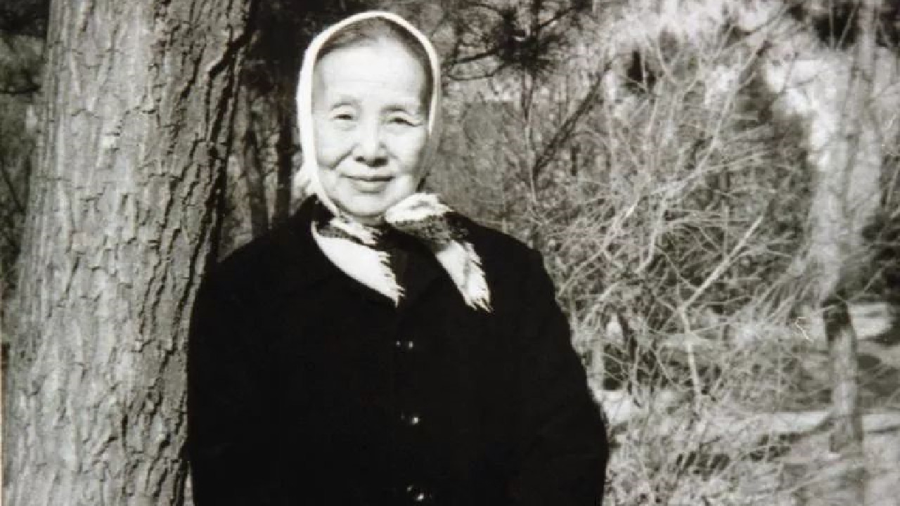 Lin Huiyin sneered, Zhang Ailing despised, Lu Xun couldn't understand ...