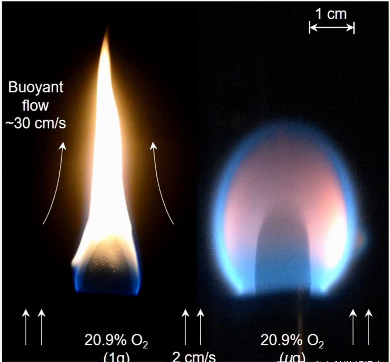 How is the fire lit on the space station different from the fire on ...