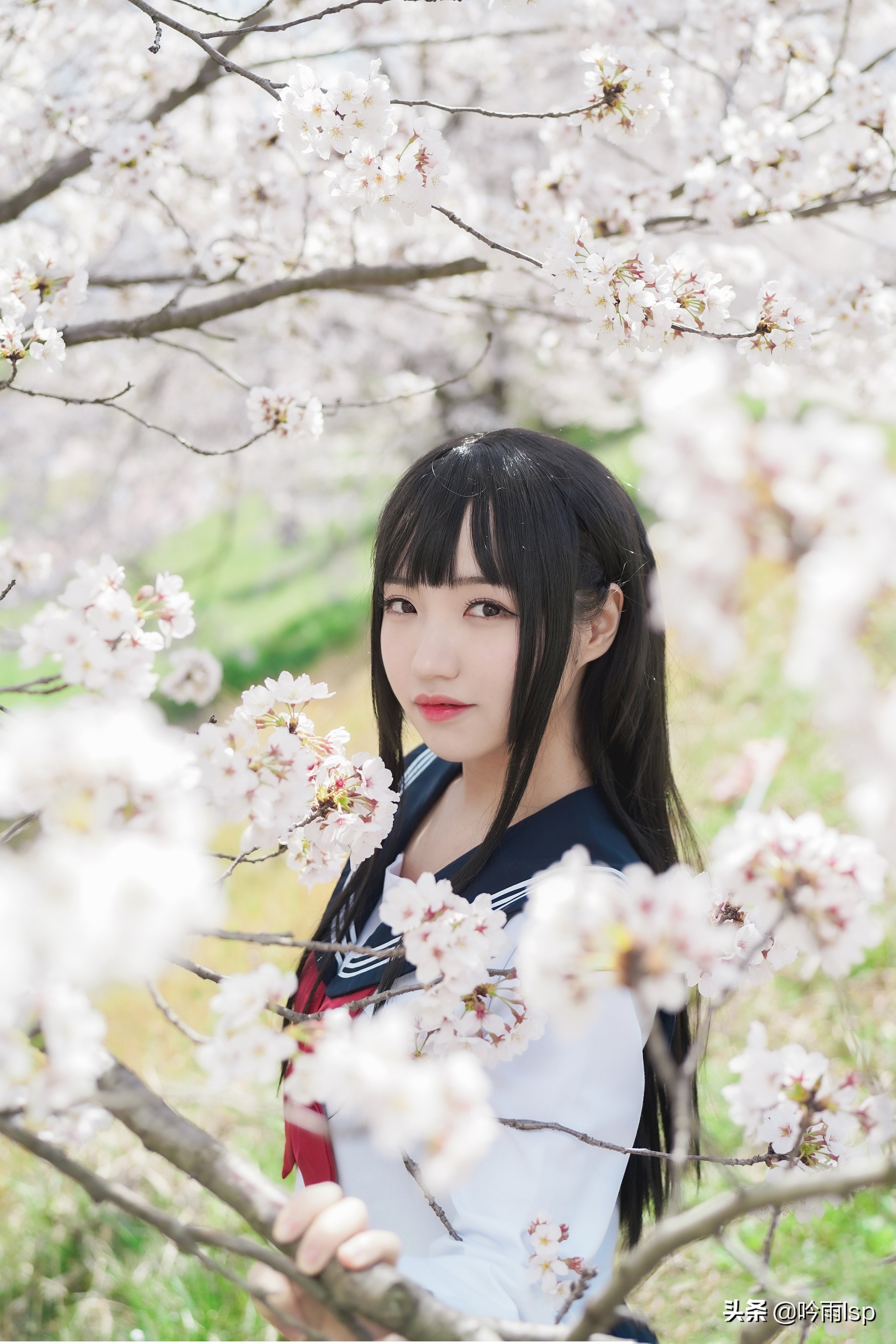 The JK girl under the cherry tree, the image of the first love girl ...
