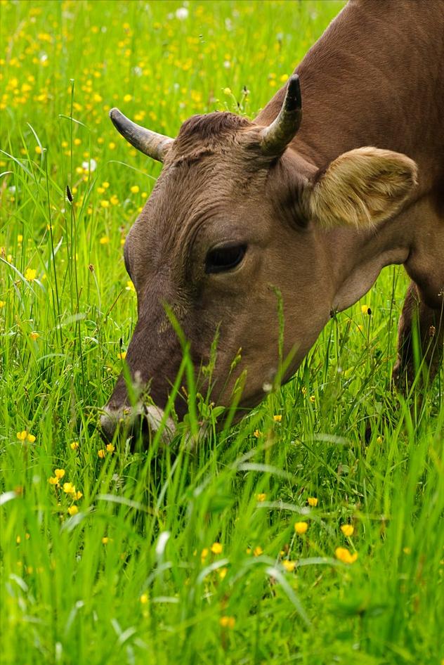 His wife was snatched away. After 22 years, Li Wenqing returned to his hometown as a general ...