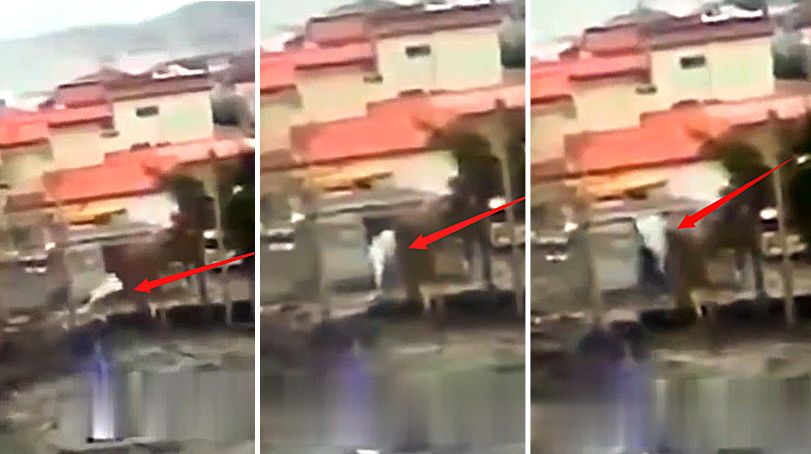 The legendary sea spirit appeared in the tsunami?Mysterious vaporous ...