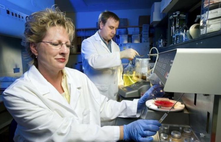 Scientists ruthlessly abandoned by the United States are determined to ...