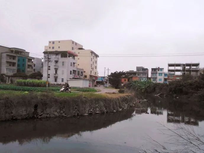 Outstanding People in Changle: Revolutionary Martyr——Guhuai ...