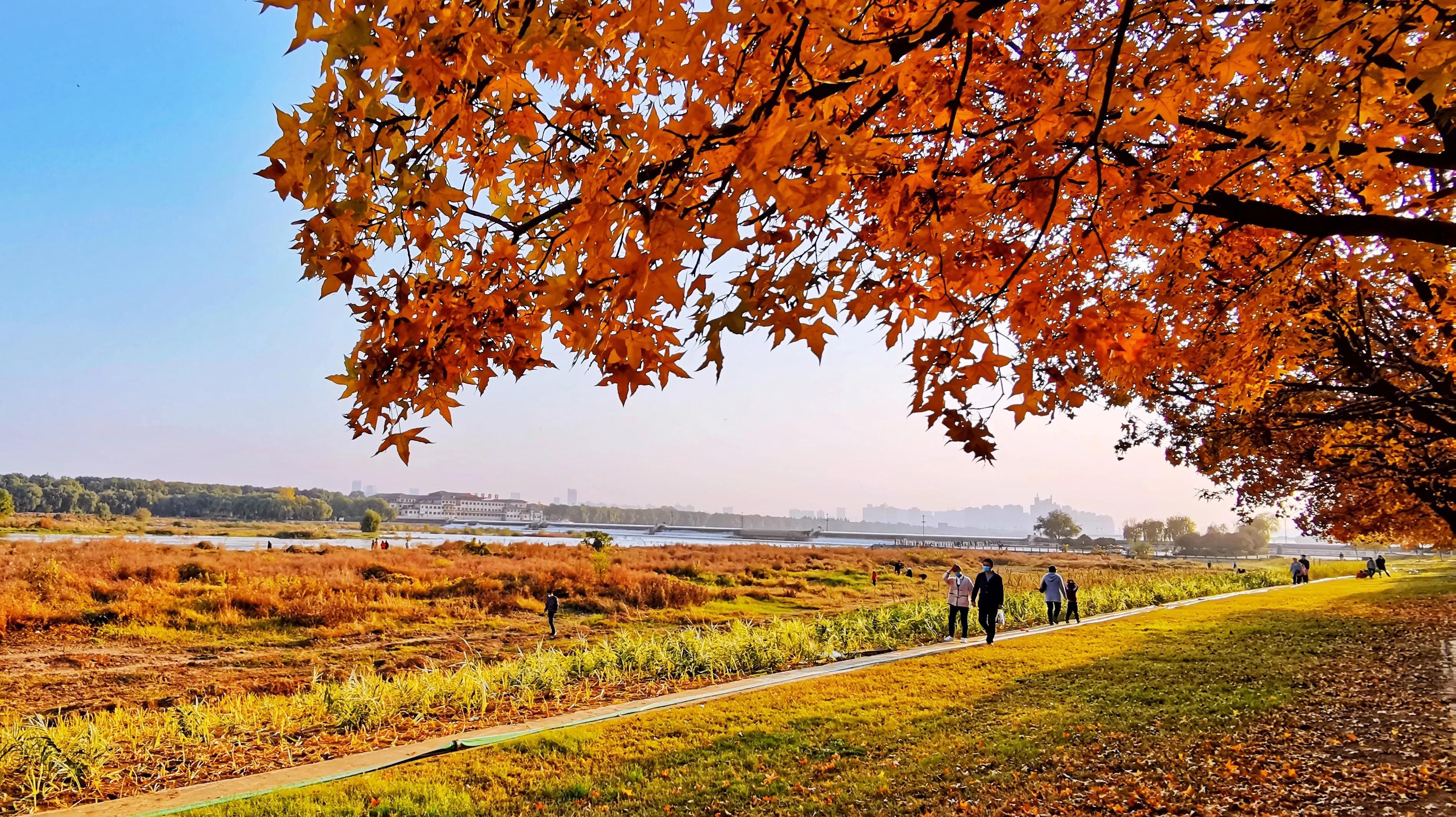 Several common frame ratios and characteristics in photography - iNEWS