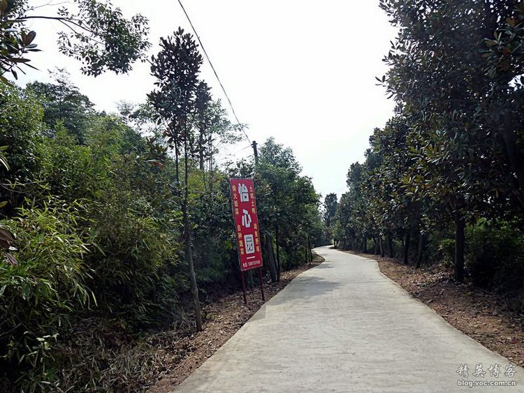 Tour Zhuzhou Dajing Reservoir Scenic Area - iNEWS