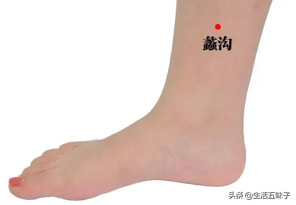 Five "collateral points" near the elbow and knee joints - iNEWS