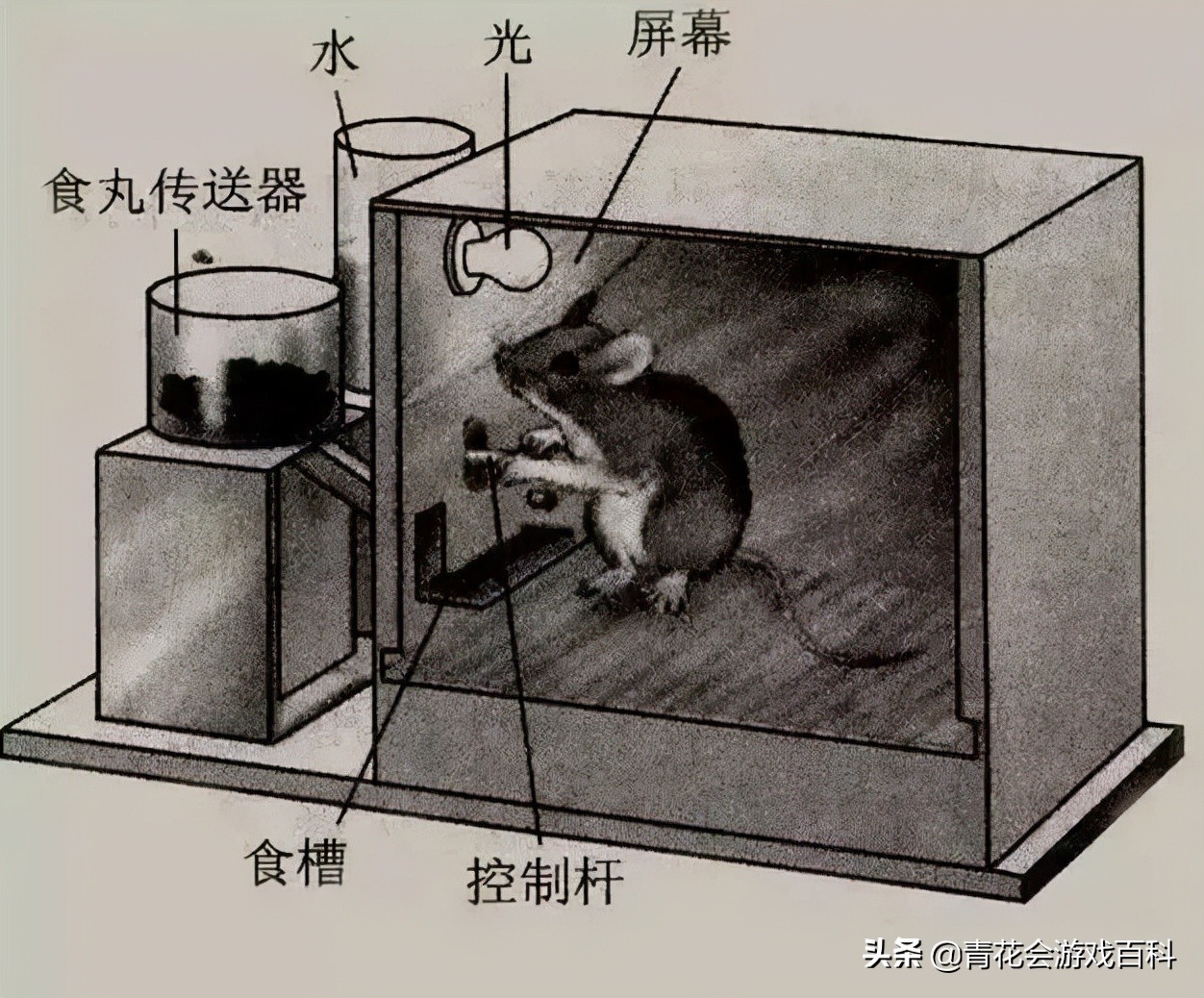 Discussion on the application of "Skinner Box" and related theories in ...