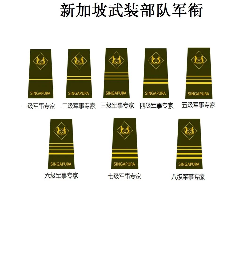 Atlas of Military and Police Ranks of Various Countries (2) - iNEWS