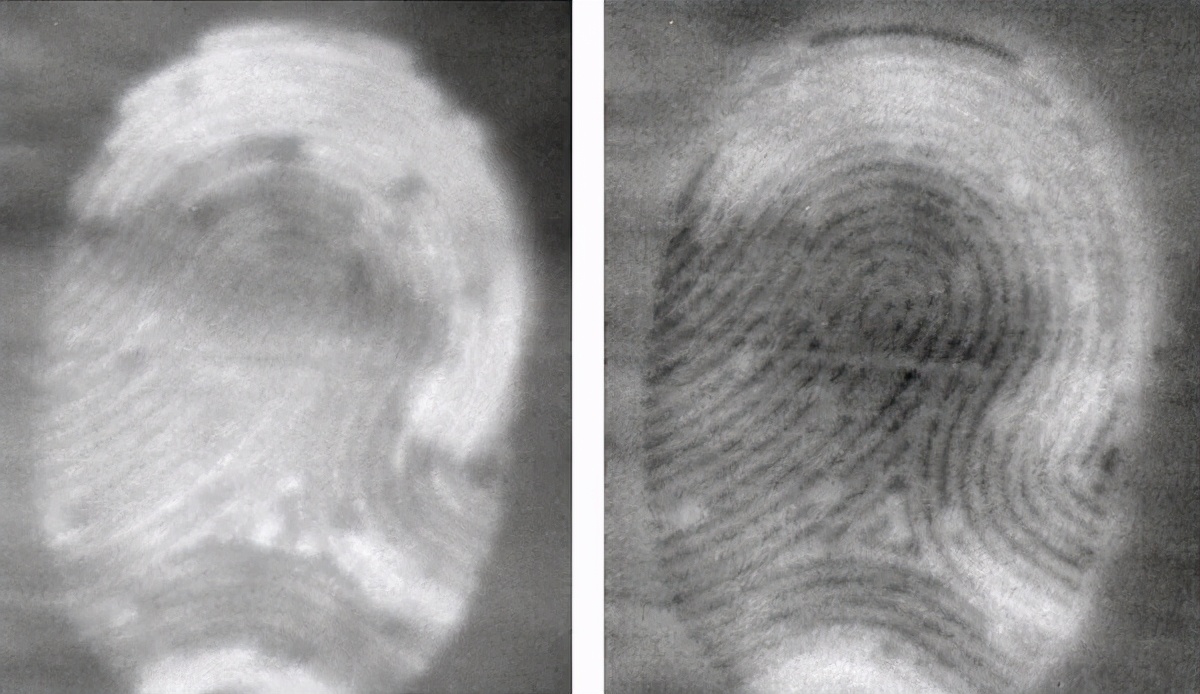 Facilitating forensic investigations-FLIR thermal imaging camera makes ...