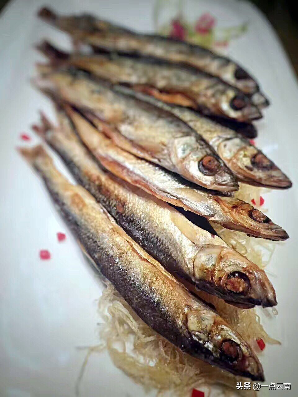 The past and present of Yunnan Kanglang fish: 40 years ago, "bringing ...