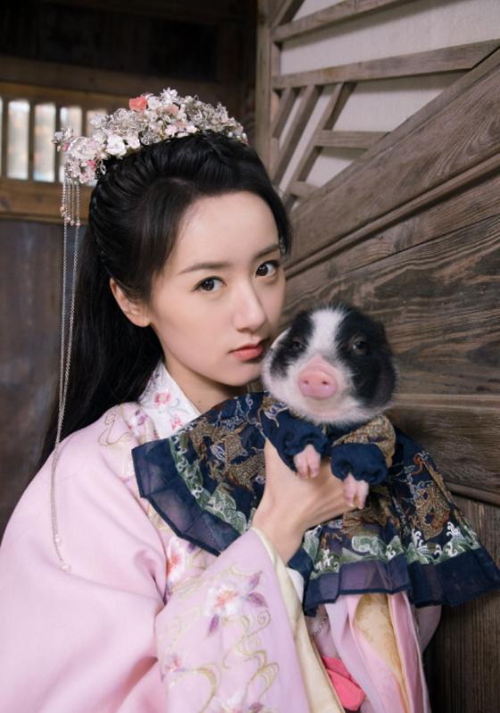 Yuan Bingyan's pet pig is lost, and her assistant scolds passers-by for ...