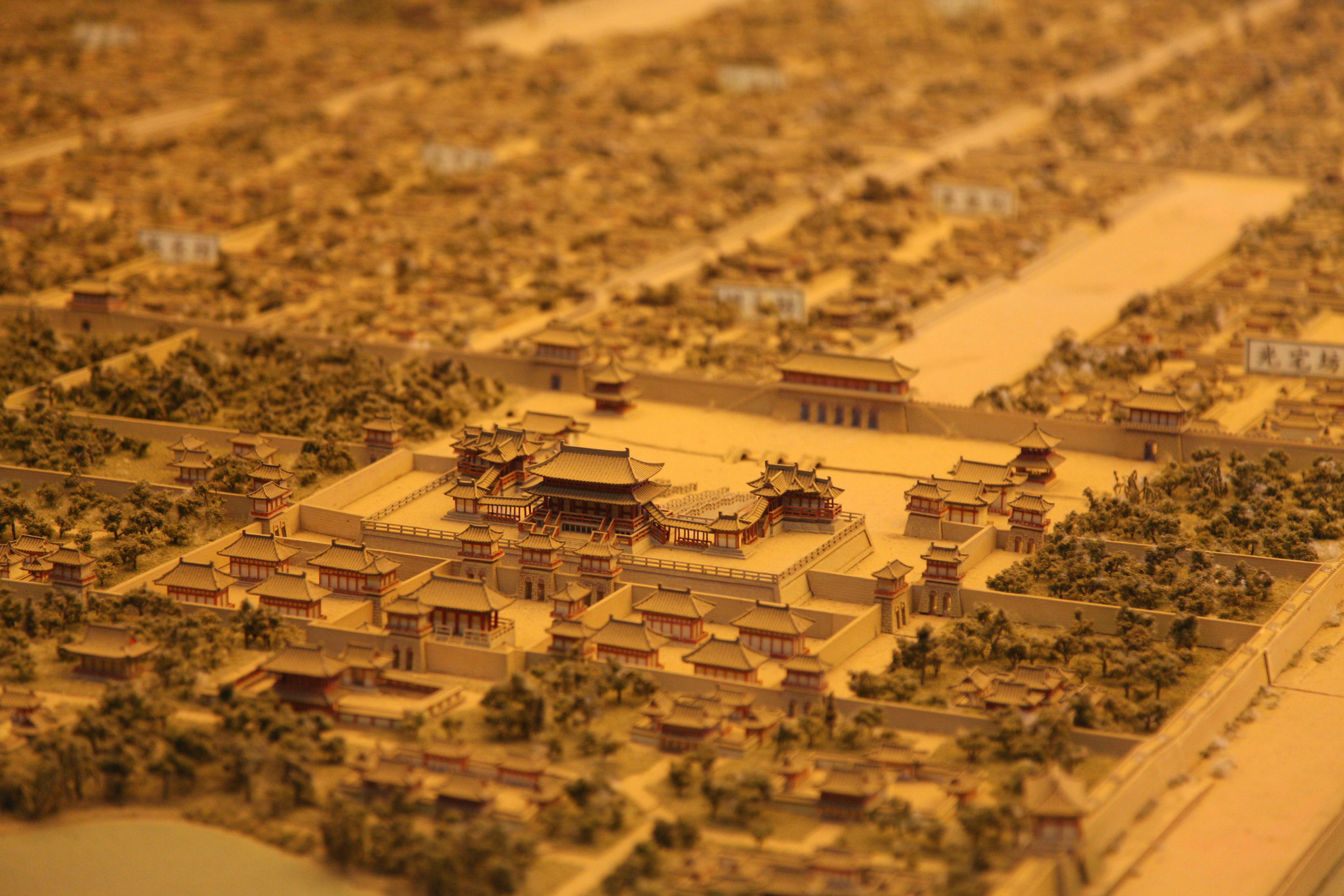 Dream back to the Tang Dynasty - iNEWS