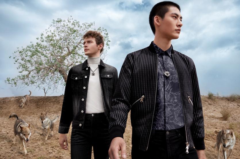 Seven wolves: Deconstructing the high-quality development direction of ...