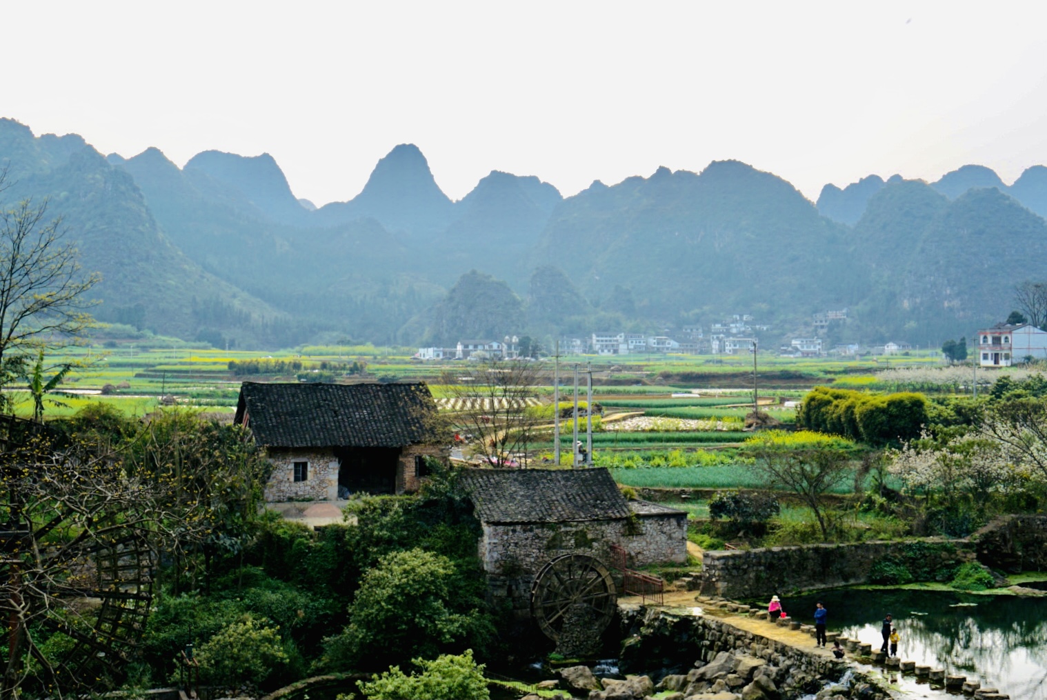 I said the issue of Tsing Wan Fenglin, it is not negative. - iNEWS