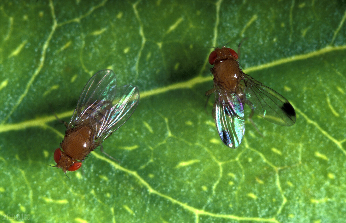 The strange package in the United States was intercepted, and 7,000 ...