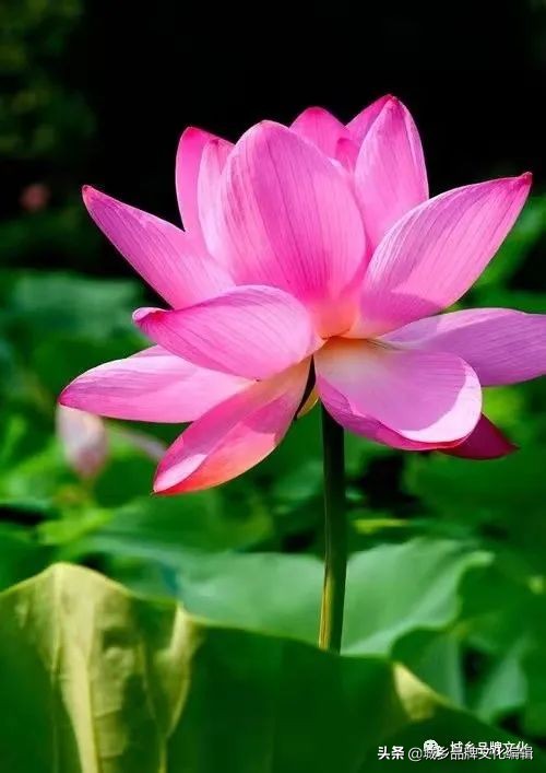 Shaanxi Han Tianmin Poetry Album - iMedia