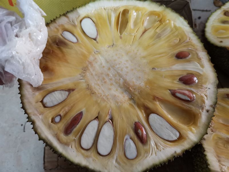 How to wash the jackfruit gum on my hands?These three methods are more ...