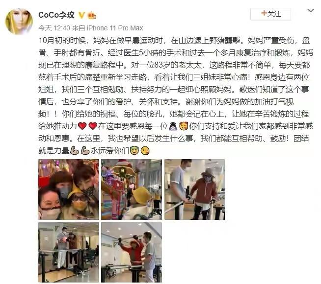 Coco Lee's mother was attacked by wild boars, and the three sisters ...