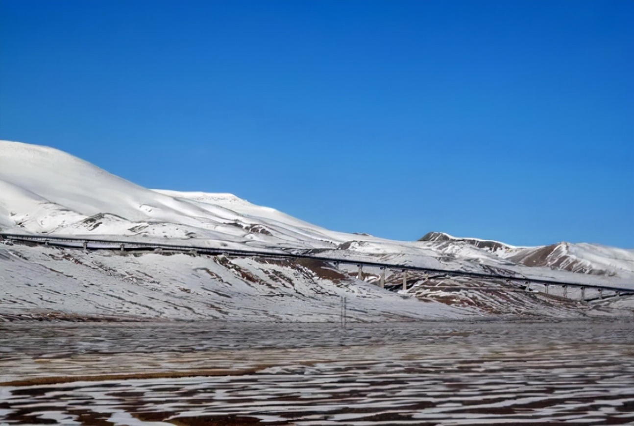 The Arctic permafrost is rapidly melting, and nematodes that have been ...