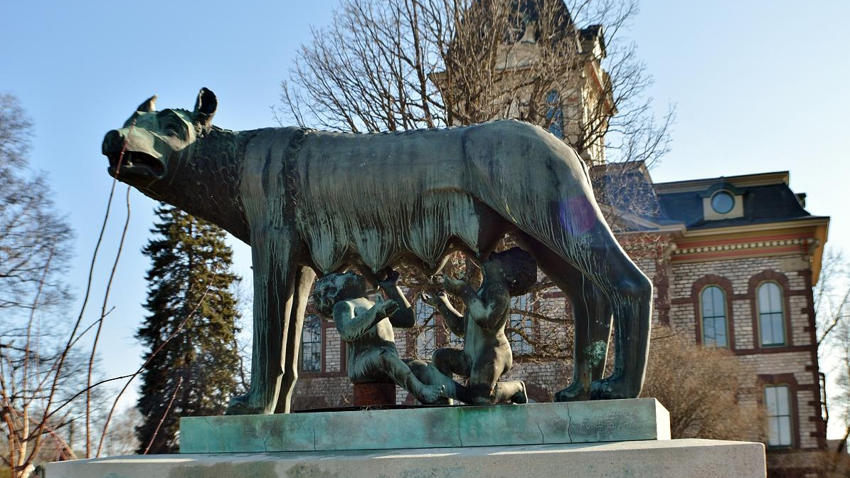 Why do wild wolves raise human babies and let them become wolf children ...