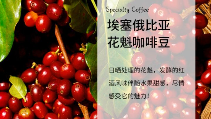 Sidham Oiran Coffee Bean Name Origin - iNEWS