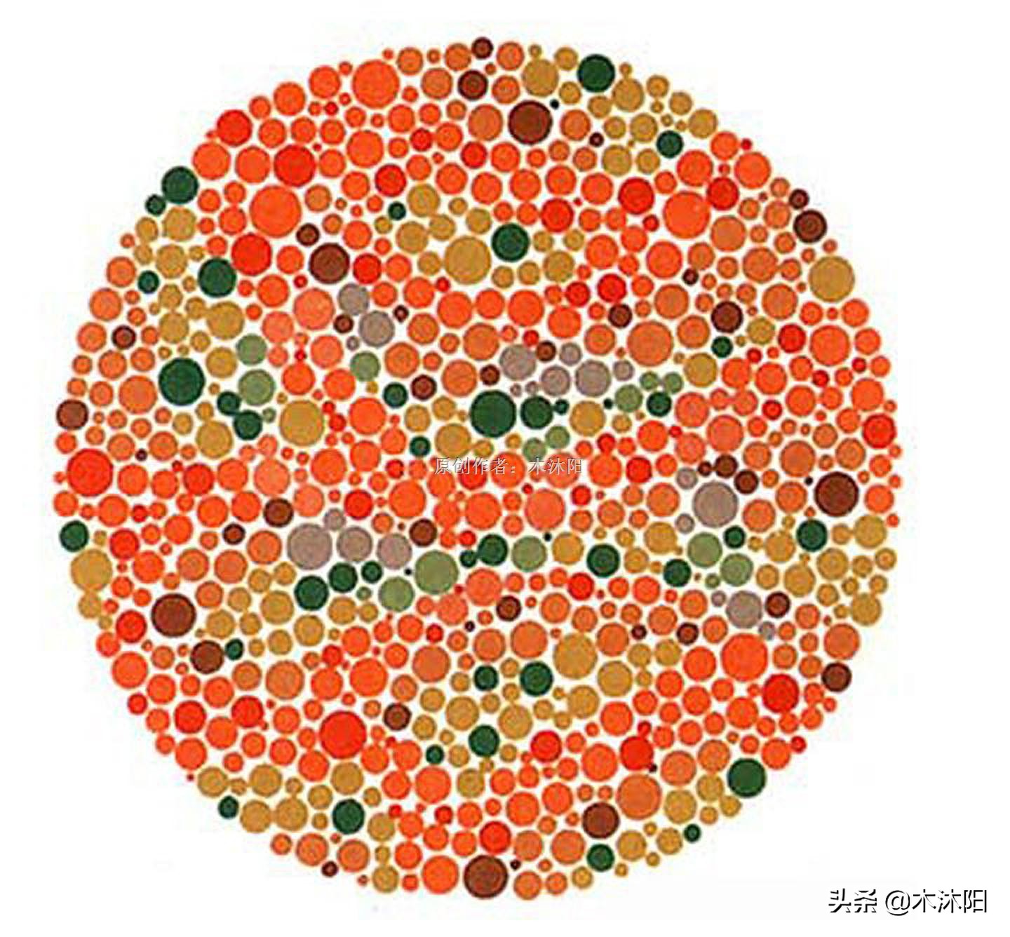 The 6 color vision test pictures when taking the driver's license test ...
