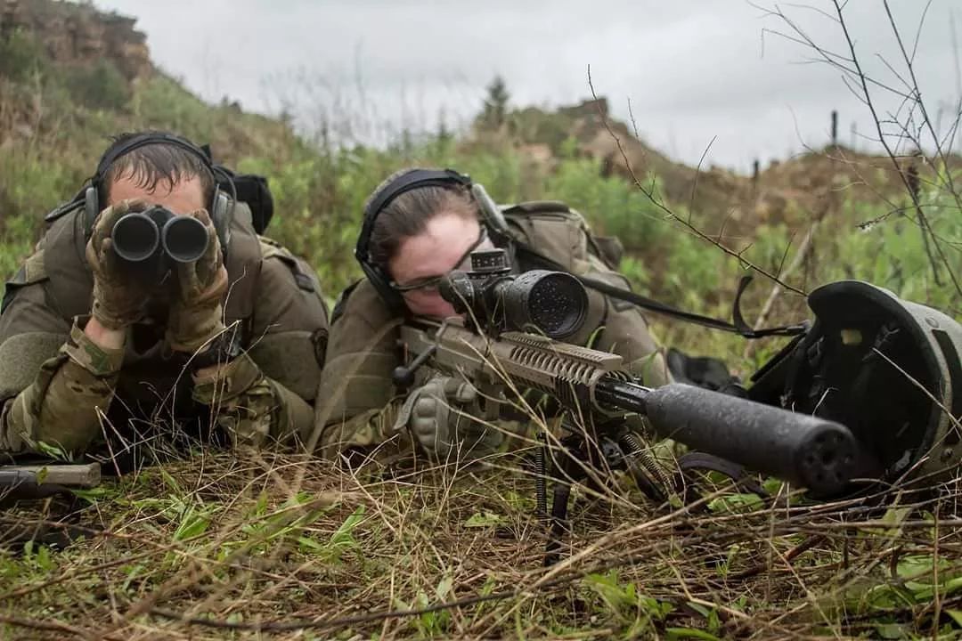 Excellent shooting accuracy Compatible with various calibers Known as ...