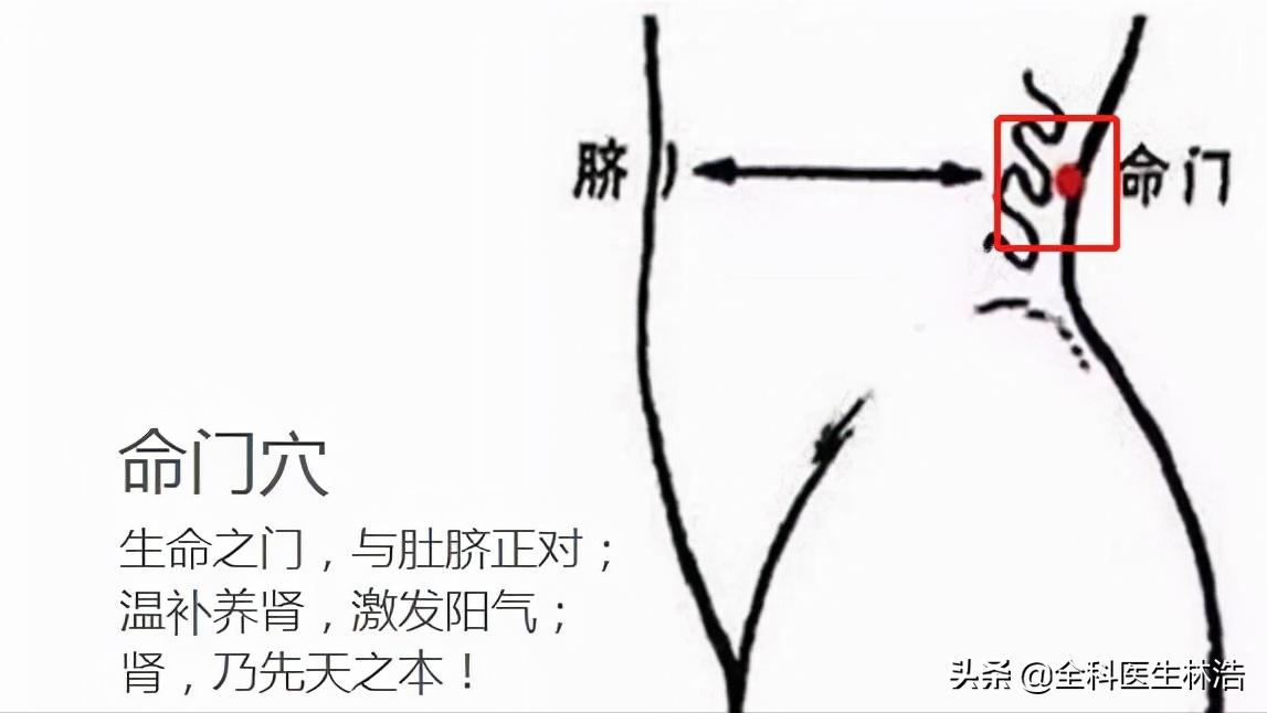 Traditional Chinese Medicine: The five major acupoints of the human ...