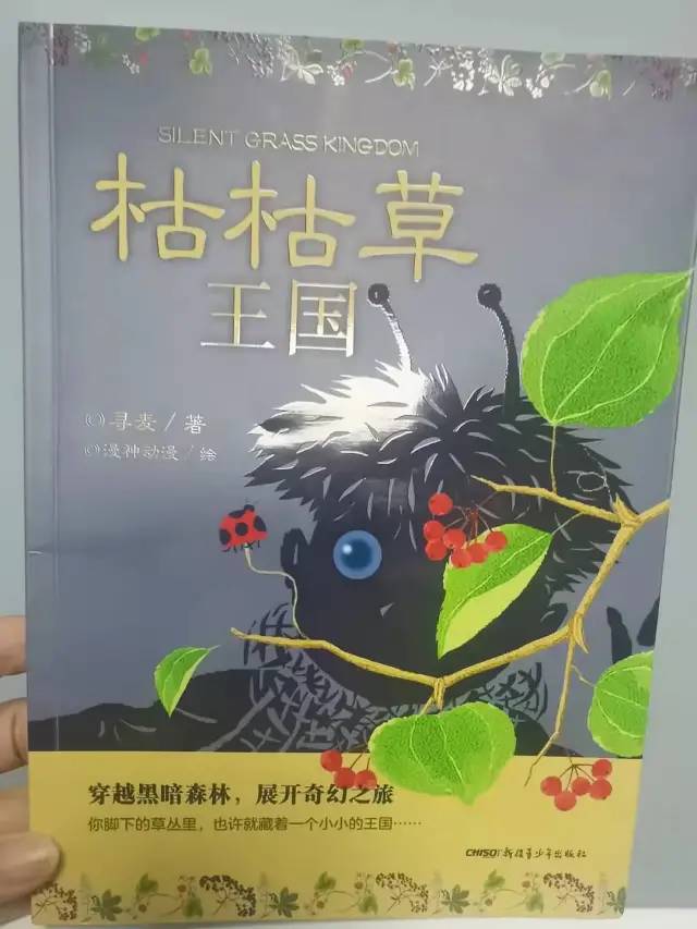 "Kookoo Grass Kingdom": Love and responsibility accompany children all ...