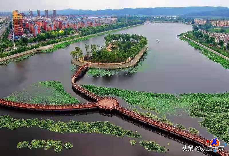 Wang Peng: Ten Mile Lotus Pond Waiting for Kings to Come - iNEWS