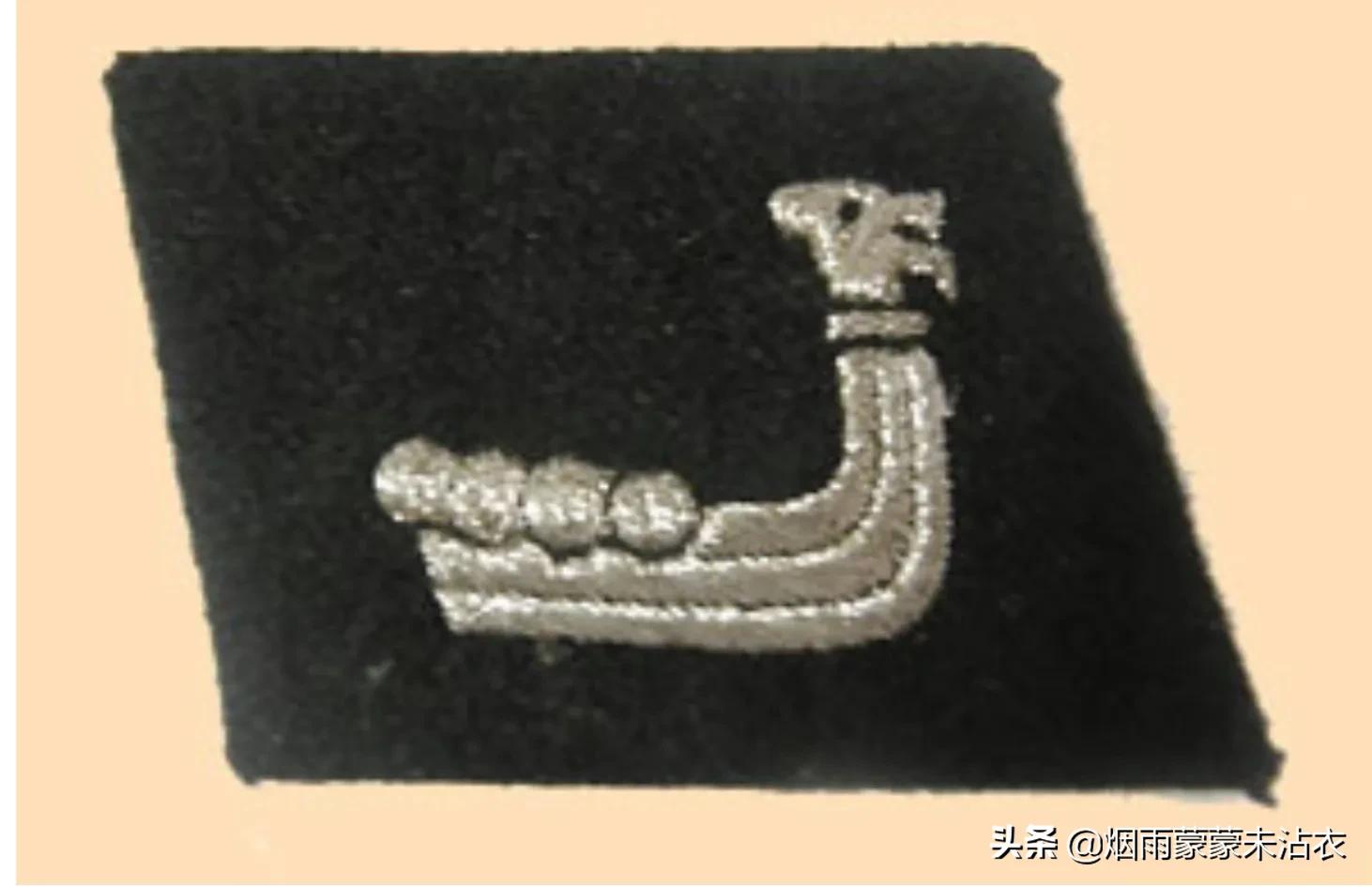 The pattern of the collar badges of the German SS divisions of World ...