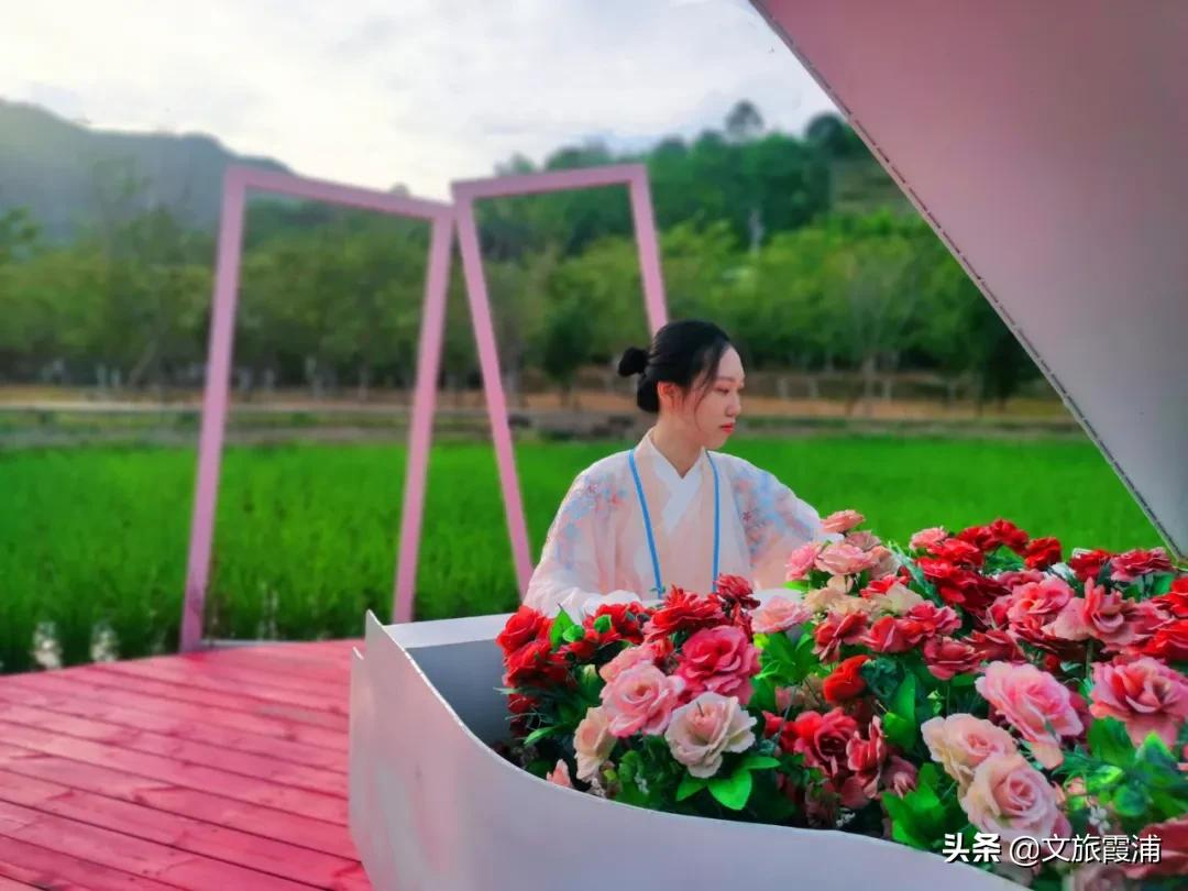 Summer in Yutan Sakura Valley is rice fields, breeze and you - iNEWS