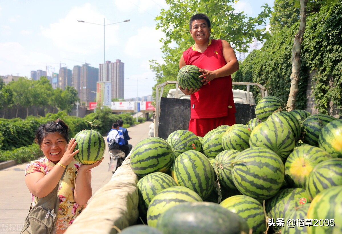 I am serious about eating melons. Remember these six points. Picking ...
