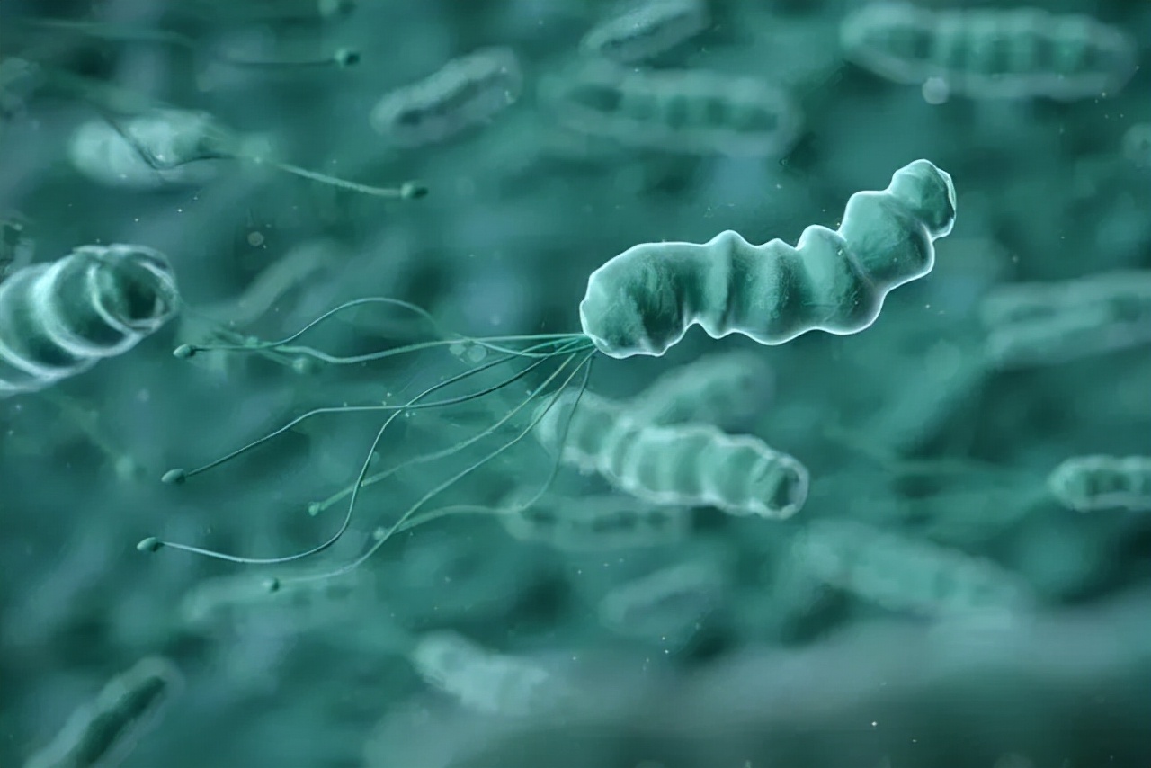 Are there deadly Helicobacter bugs in bananas?Rumors are coming - iNEWS