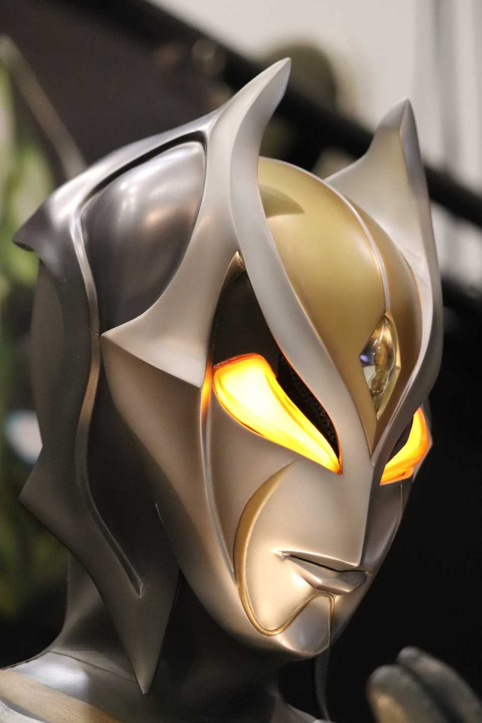 Camilla VS Carmilla, the official ultra-close-range leather case ...