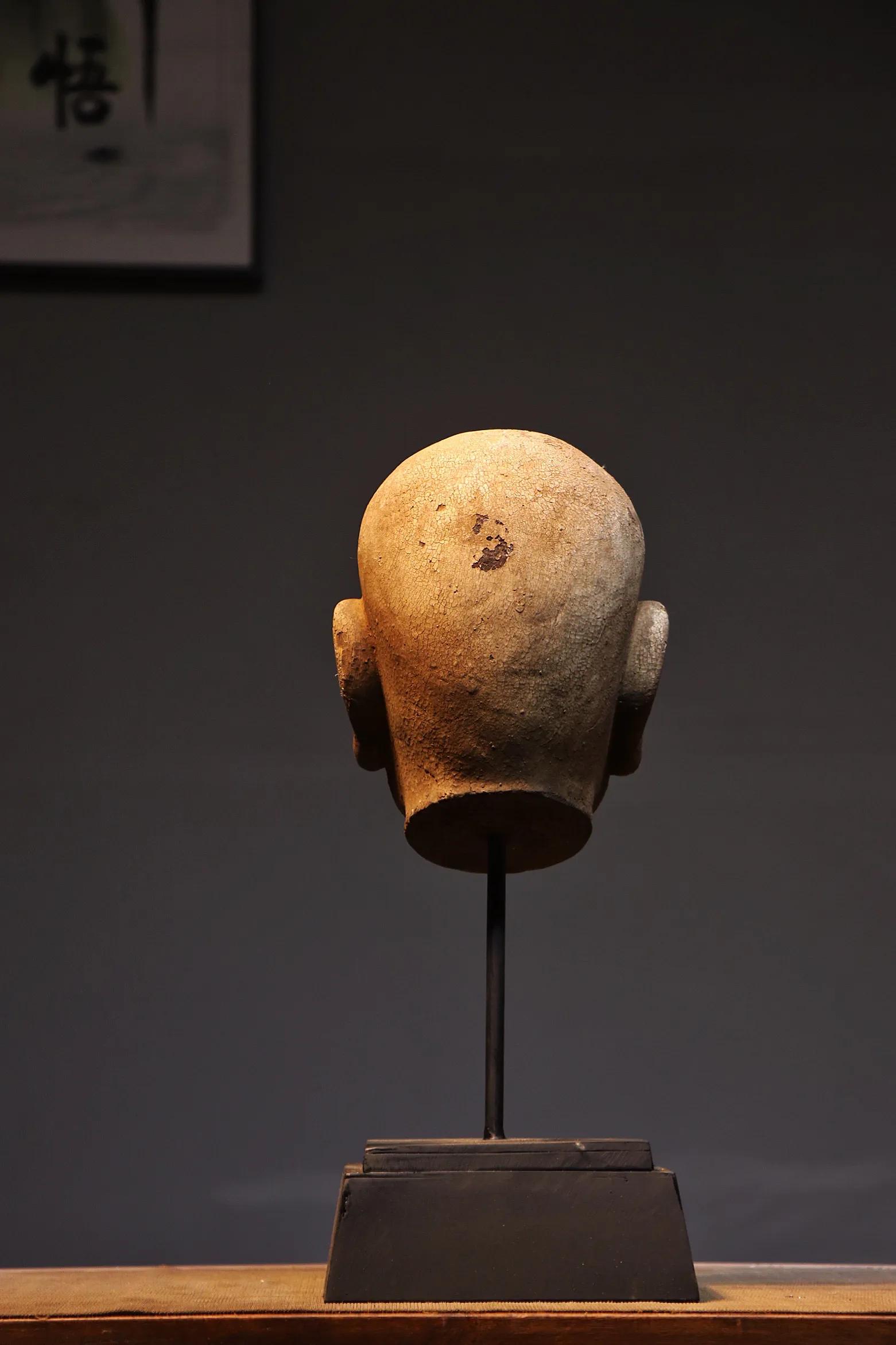 Phoebe Painted · Luohan Head - iNEWS